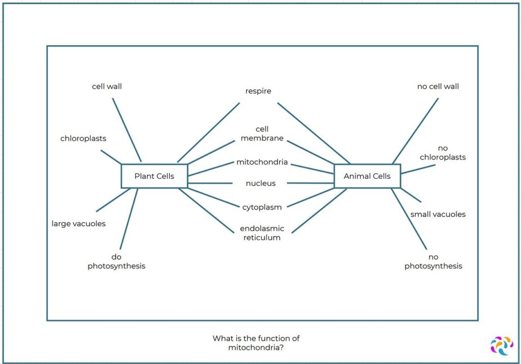 Digital Thinking Frames - Thinking Matters