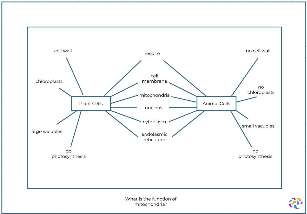 Digital Thinking Frames - Thinking Matters