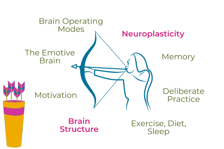 Neuroplasticity and Growth Mindset. What's the connection? - Thinking ...