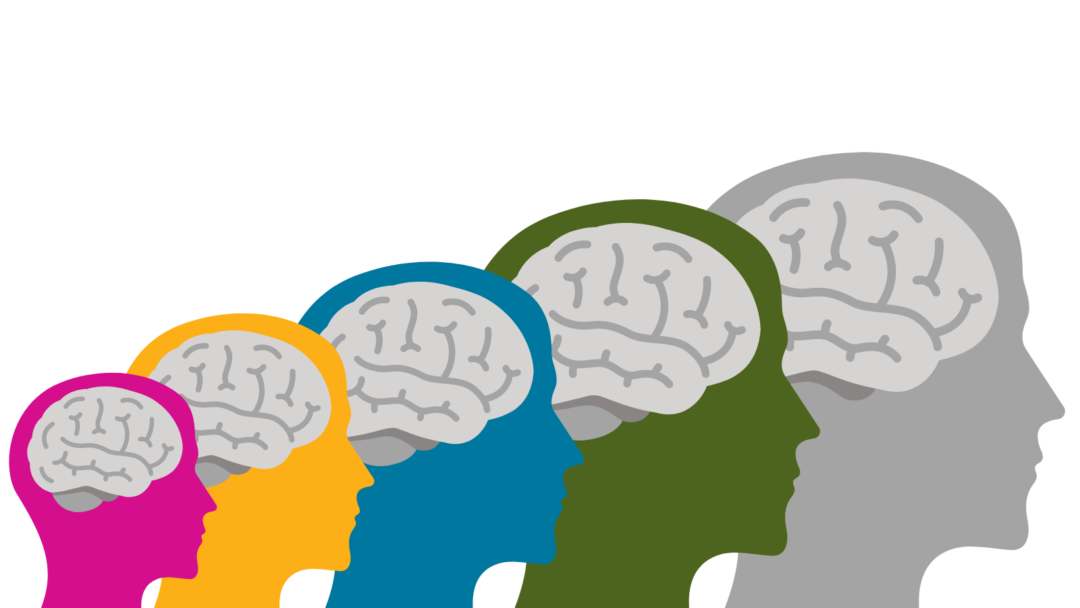 How can we optimise our brain's potential? - Thinking Matters