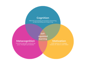 Self-Regulated Learning and the Meta-Learner - Thinking Matters