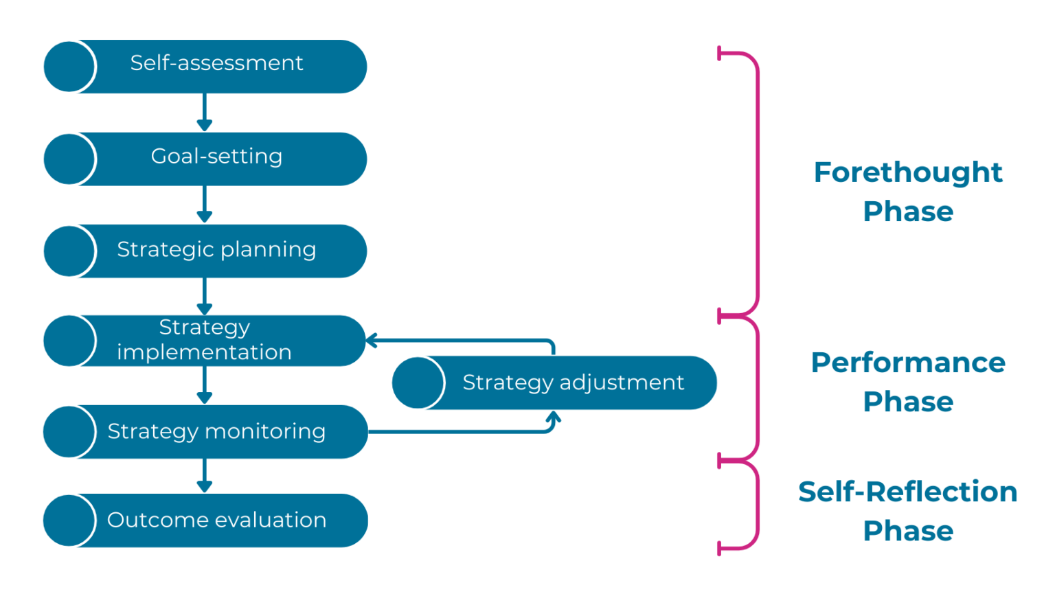 Self-Regulated Learning and the Meta-Learner - Thinking Matters