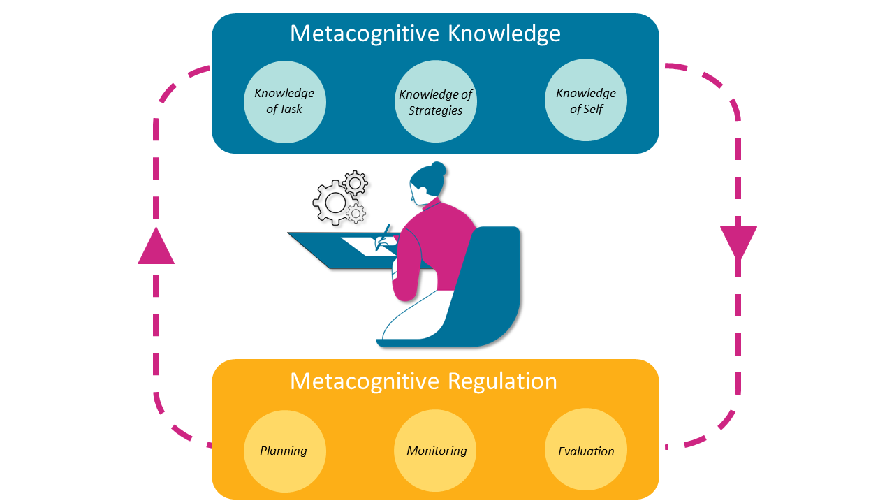 What Is Metacognition Thinking Matters